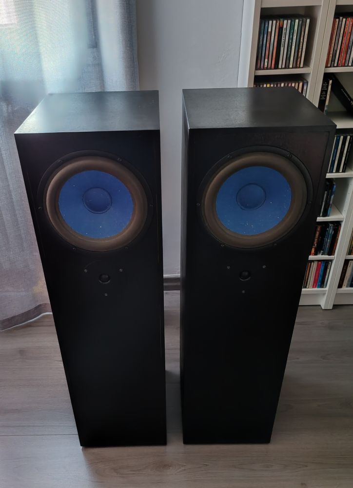 Audio Note AZ TWO Hemp coppia diffusori da pavimento USATO